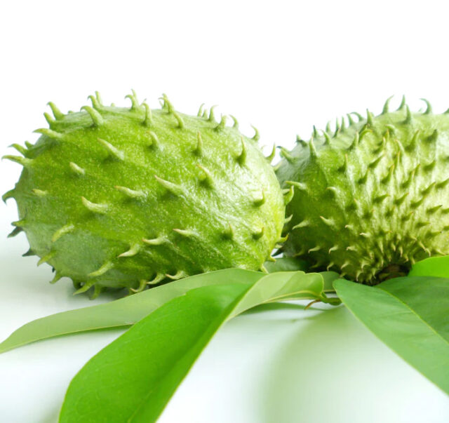 Graviola (Soursop) Leaf Powder – Chorganix